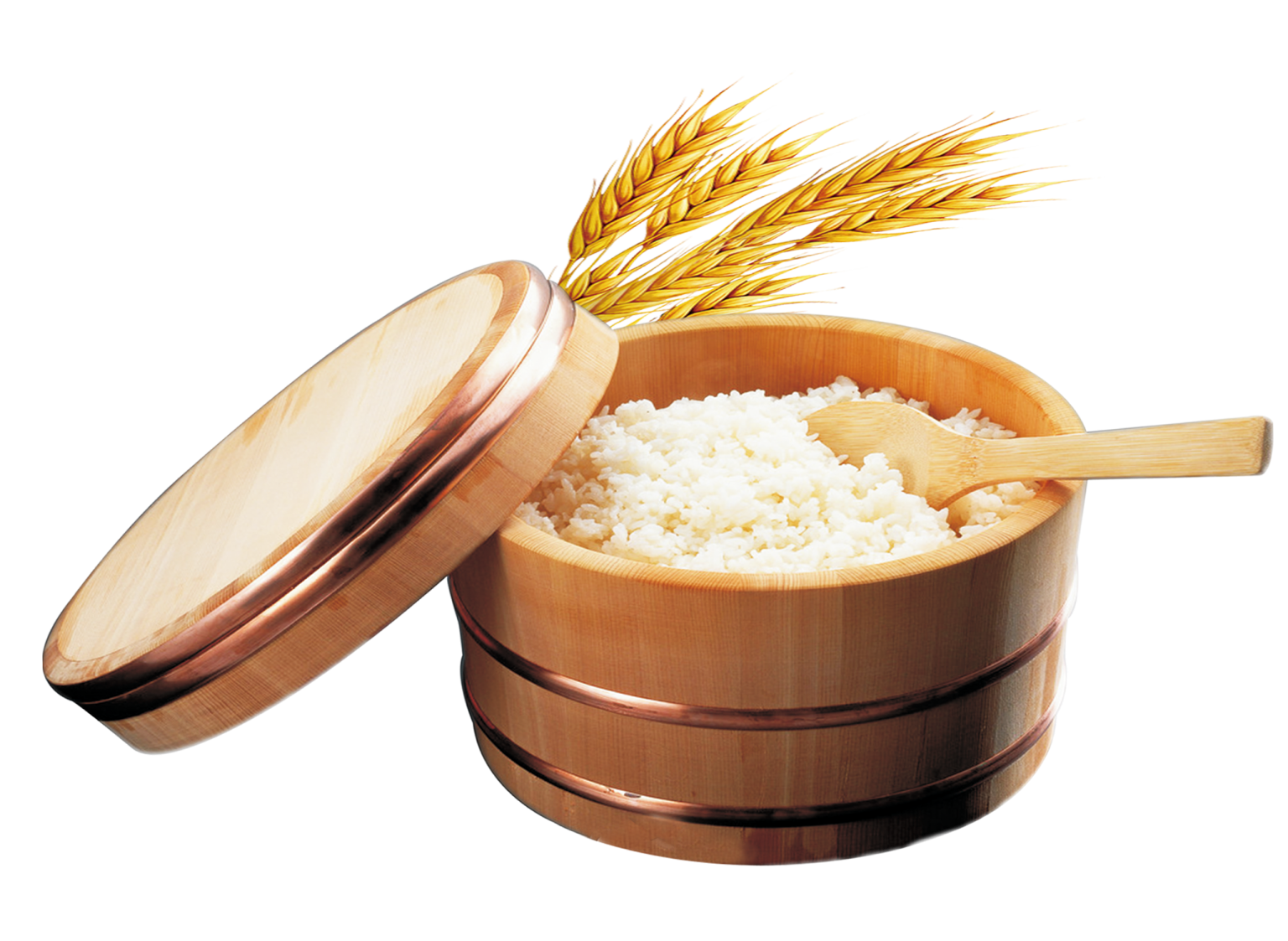 Maryam Group – Maryam Groups